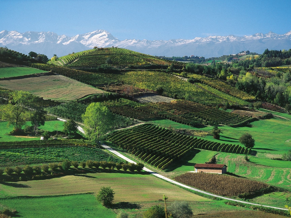 Visitare il Piemonte | Ctg Vini