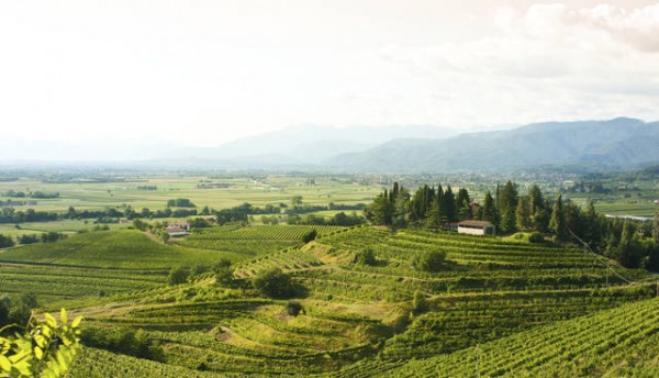 Visiting Collio - Friuli - CTG Vini